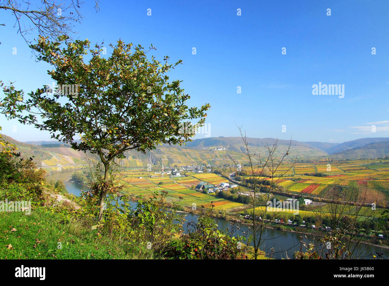mosel scenery countryside nature river water fall autumn tree coloured ...