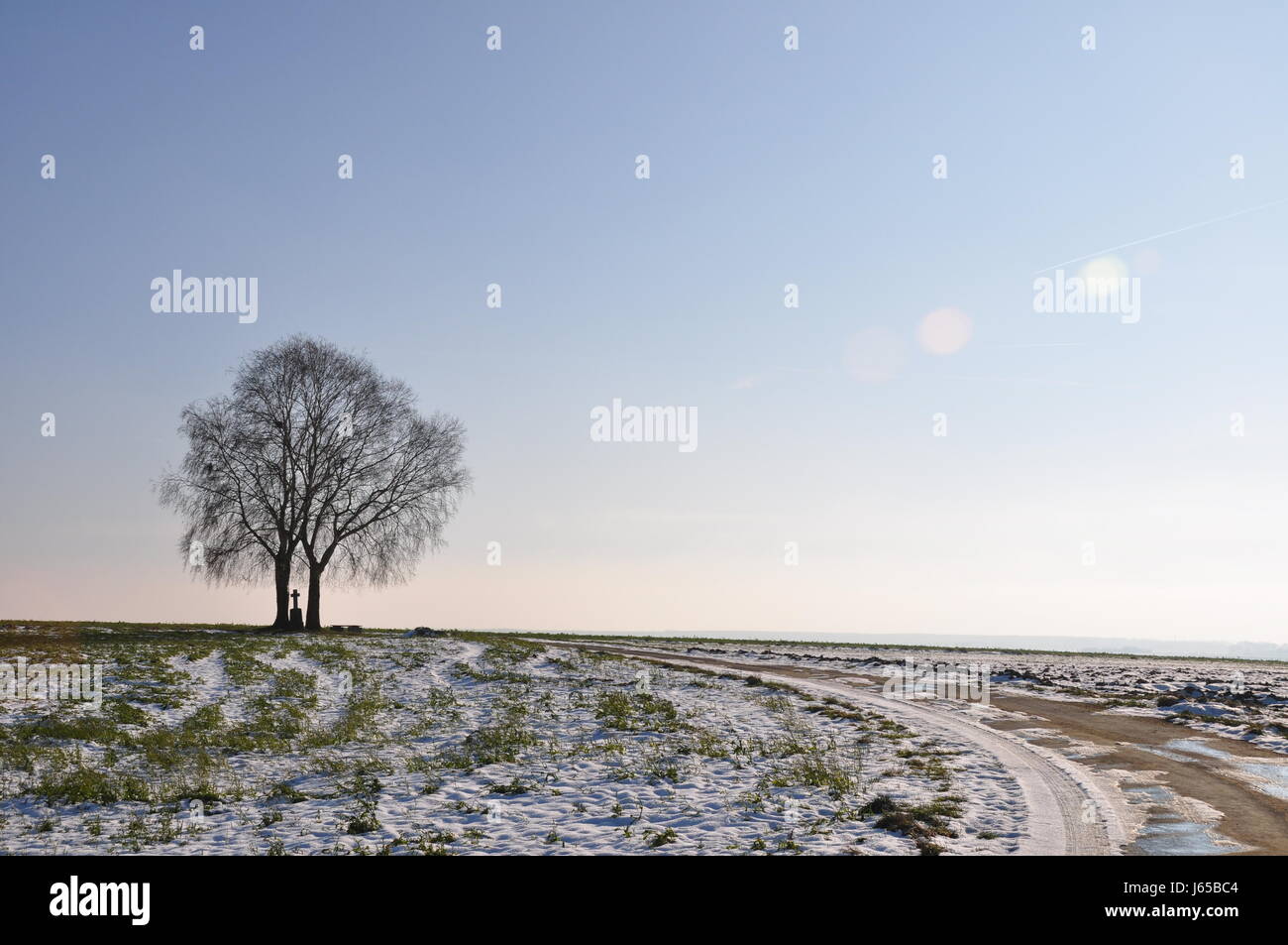 winter landscape with trees 2 Stock Photo - Alamy