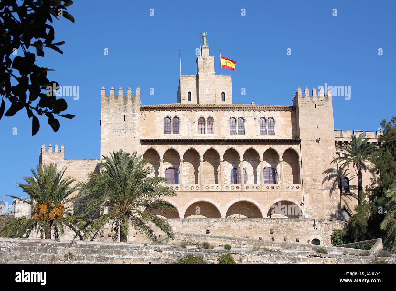 historical palm tree gothically palau gothic blue tower historical ...