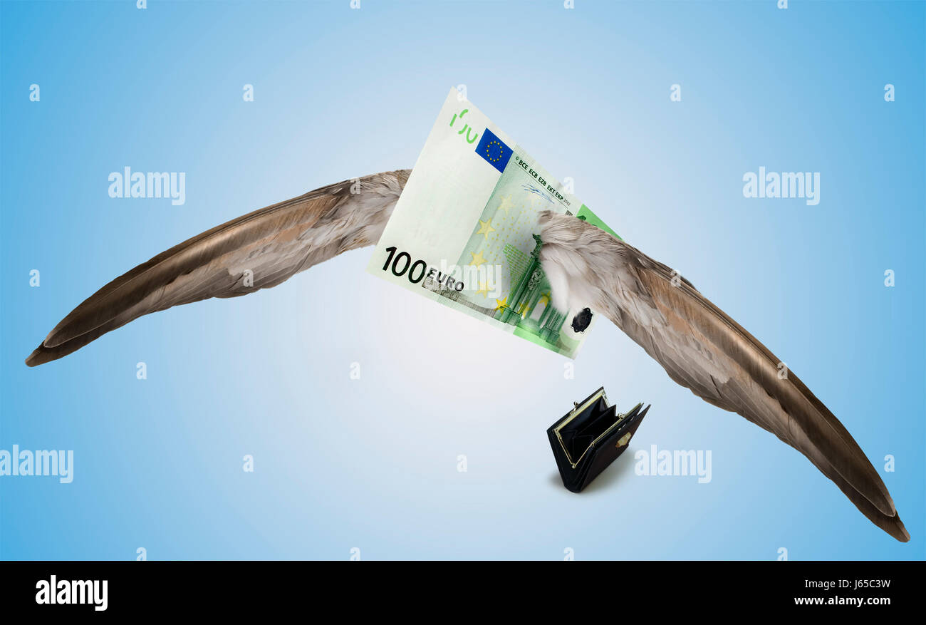 euro wings purse wallet moneybag pocketbook fly flies flys flying blue ...