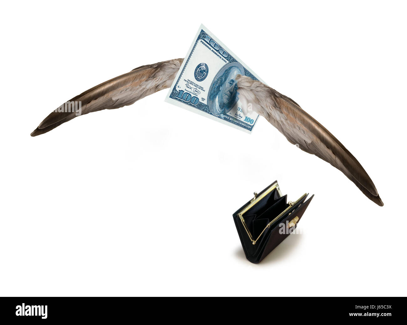 dollar dollars purse wallet moneybag pocketbook fly flies flys flying ...