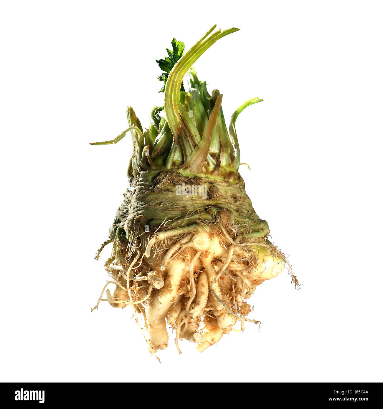 vitamins vitamines eco root vegetable celeriac sellery celery food ...