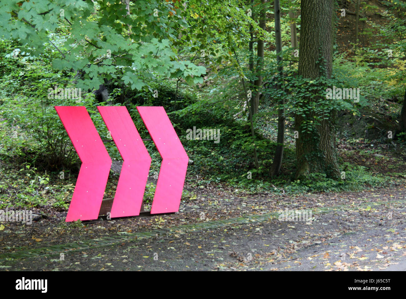 tree trees signpost marking darts arrows blaze a trail forest big large ...