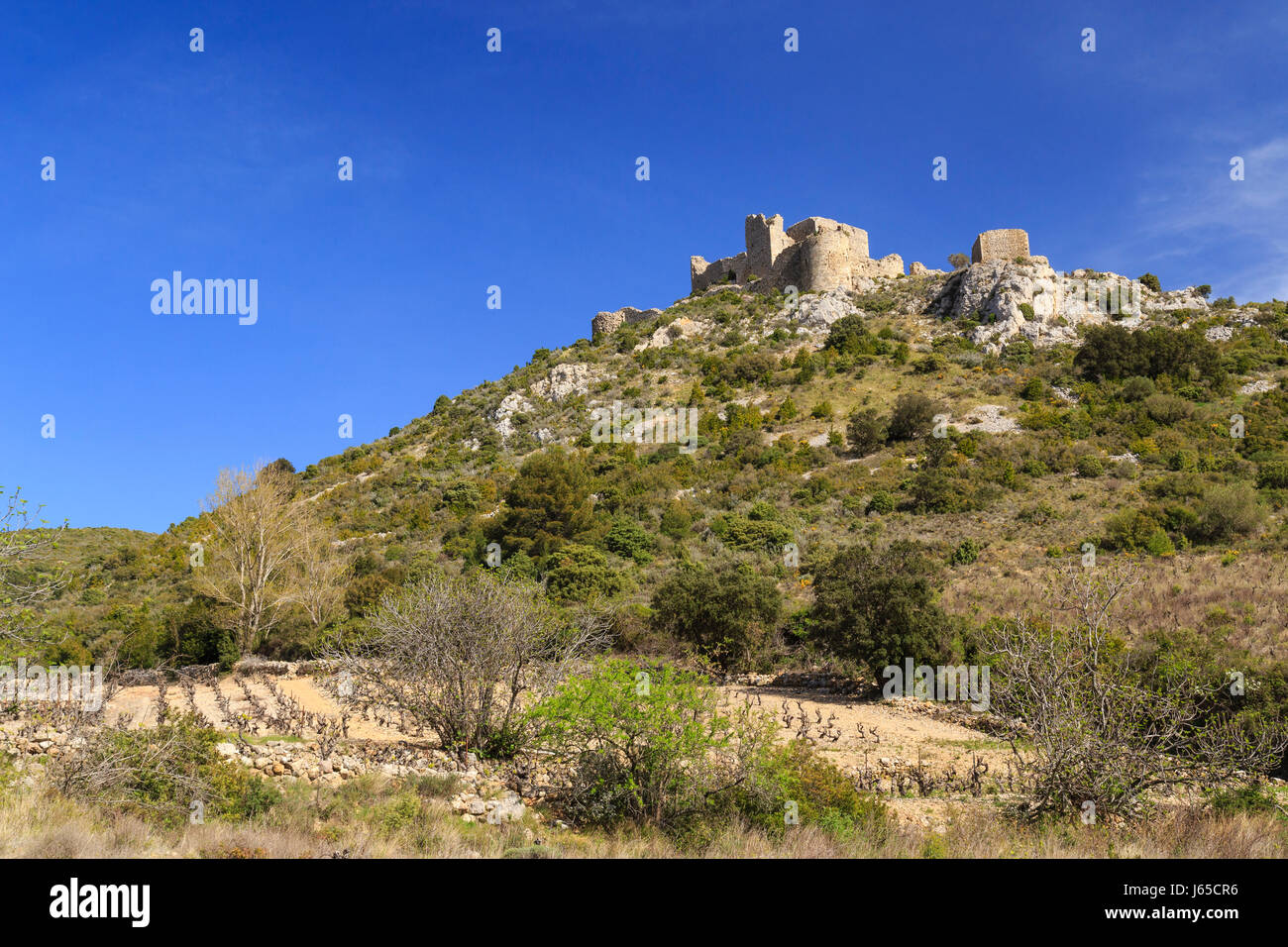 France, Aude, Tuchan, Aguilar Castle and vineyard Fitou AOC Stock Photo ...