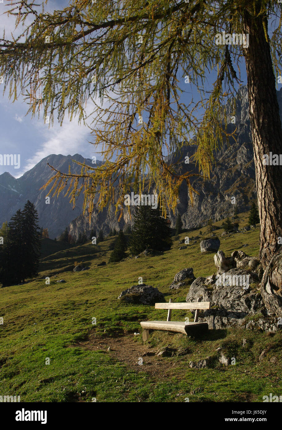 mountains alps austrians larch mountain fall autumn beautiful ...
