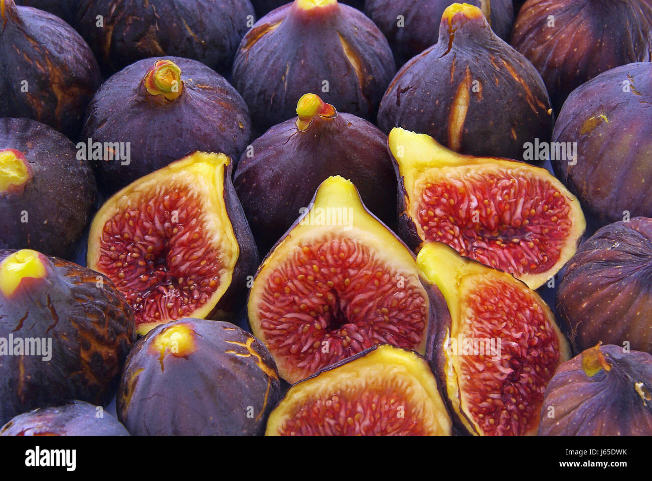 feige - fig 06a Stock Photo - Alamy