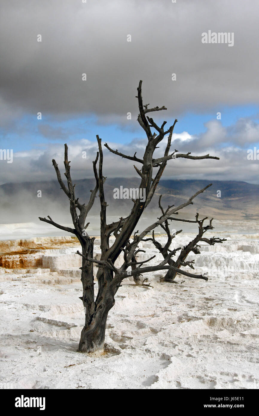 Remnant light hi-res stock photography and images - Alamy