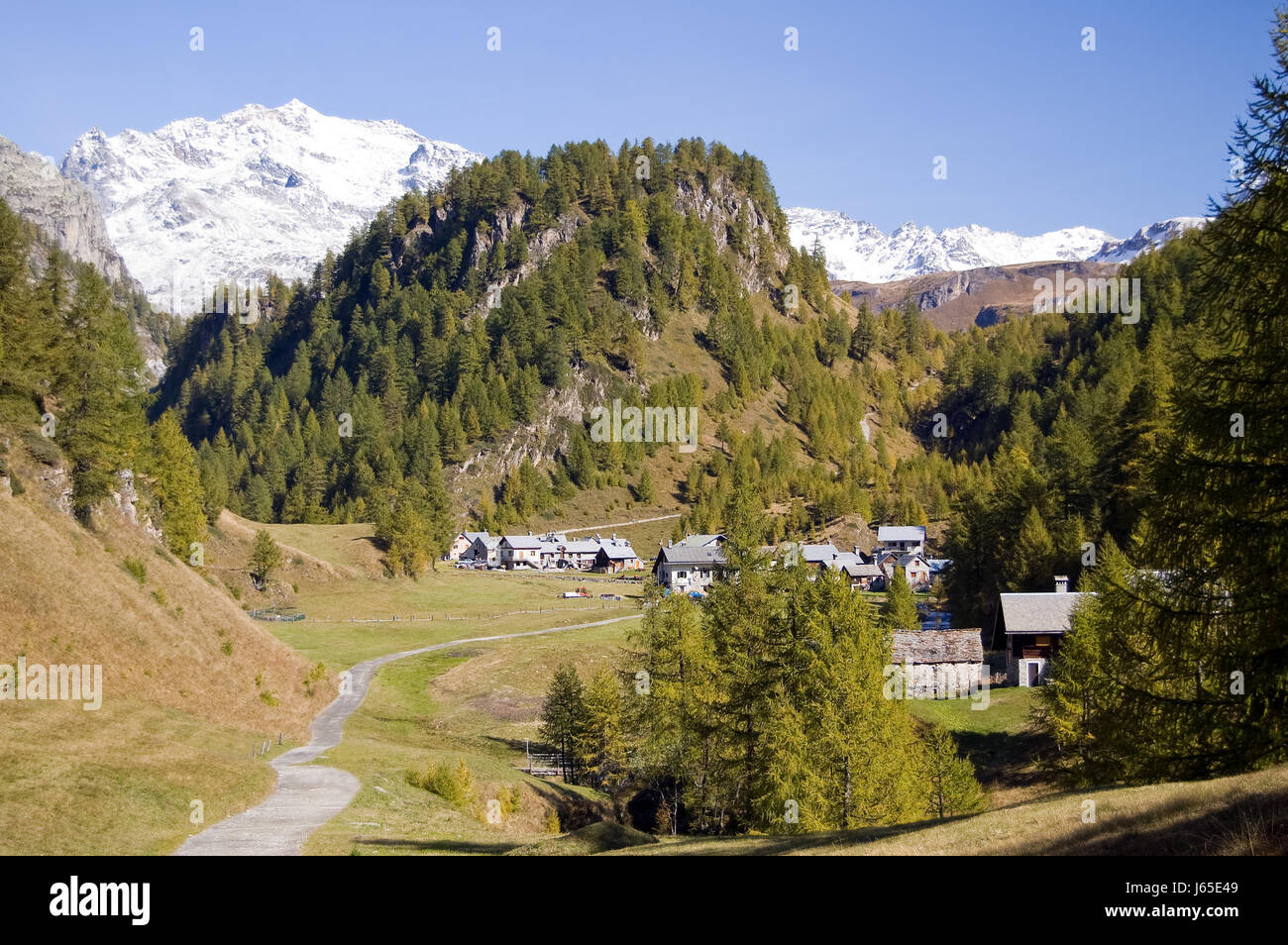 alps summer summerly pasture landscape scenery countryside nature ...