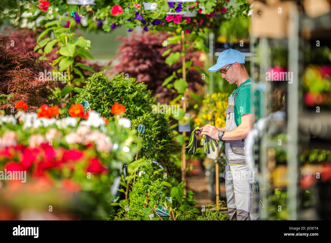 Garden Department Worker Preparing For Hard Work Day in the Greenhouse ...