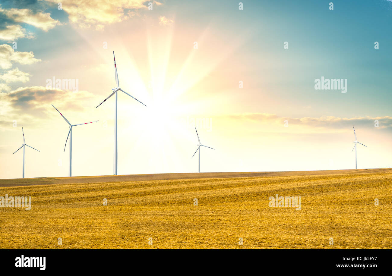 Mown yellow field and wind farms Stock Photo - Alamy