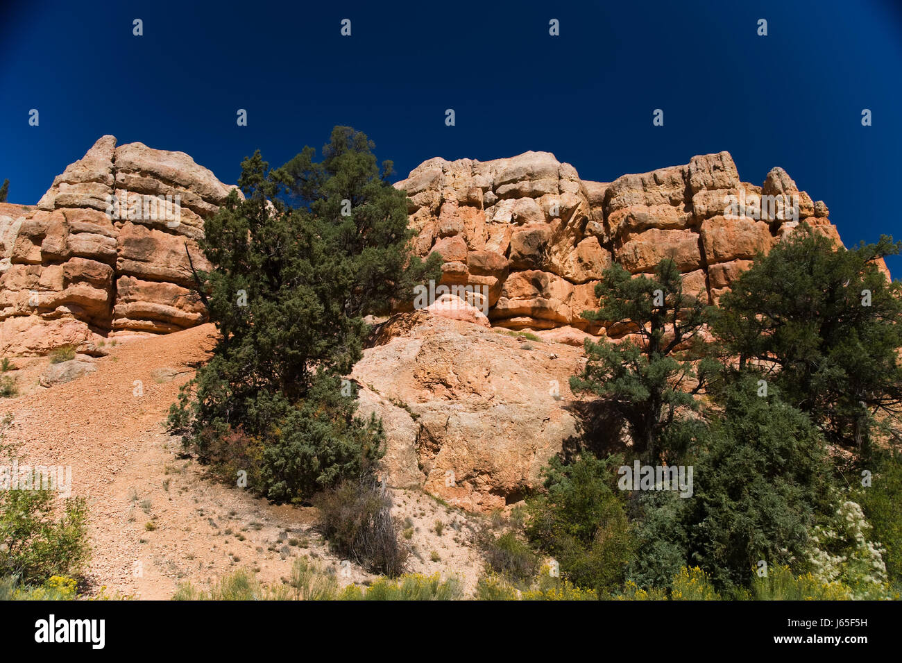 tree trees rocks scenery countryside nature travel park sunset ...