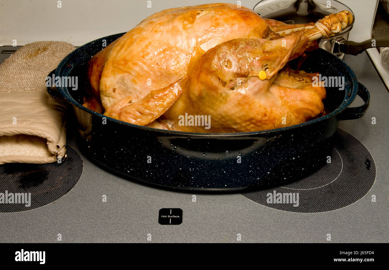 bird boil cooks boiling cooking turkey poultry cook food dish meal ...