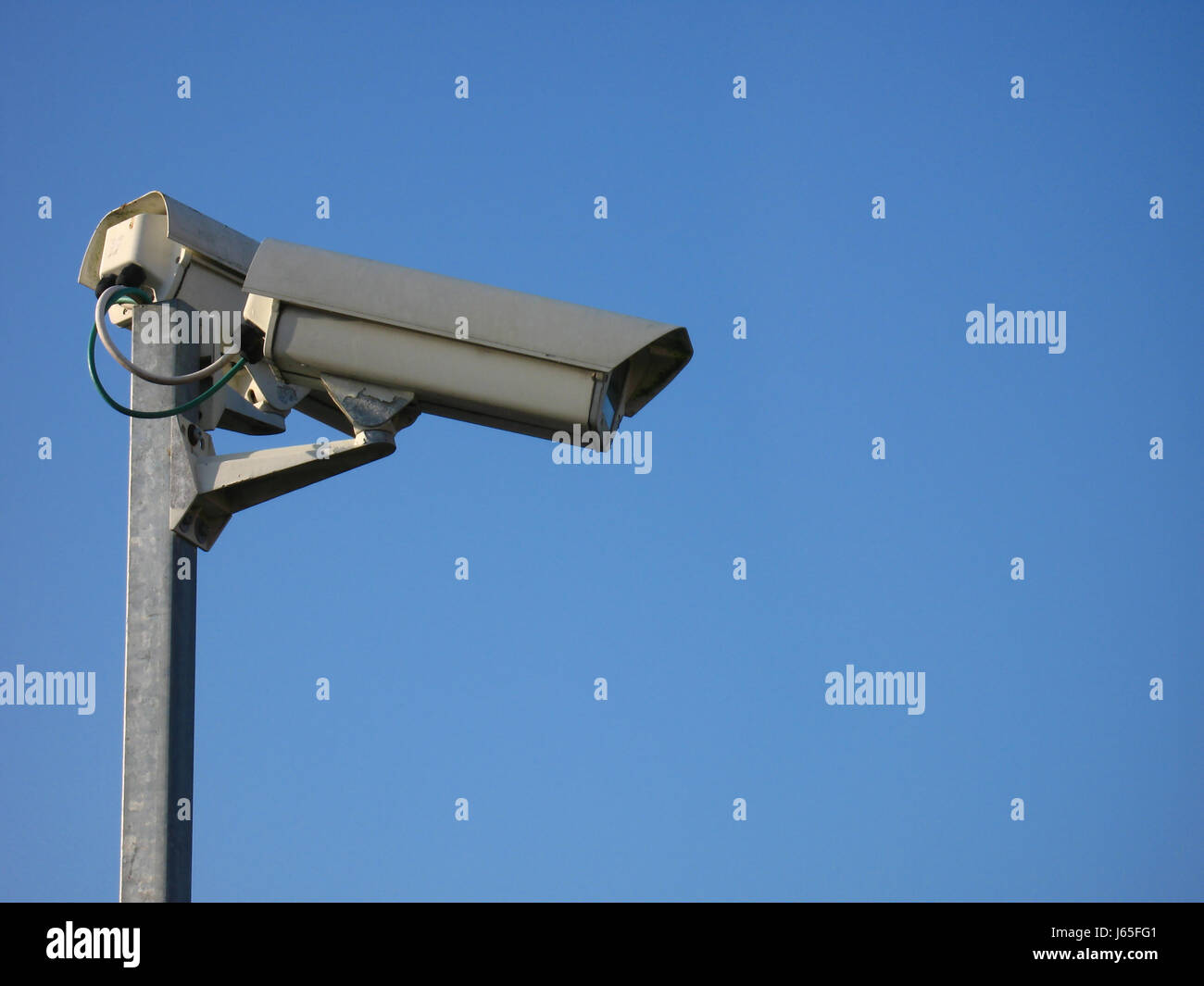 Observe And Absorb Stock Photos & Observe And Absorb Stock Images - Alamy