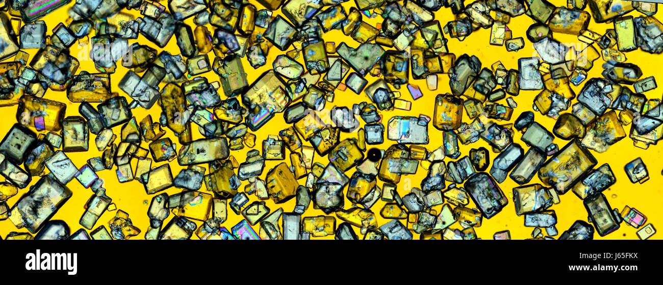 sugar microscope cristalline sugar symmetry sugar cane microscope ...