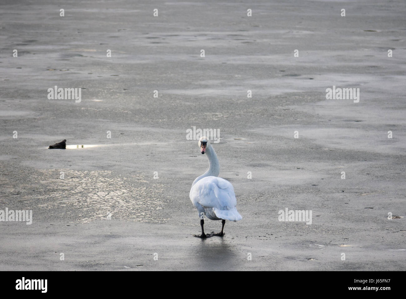 Pance river hi-res stock photography and images - Alamy