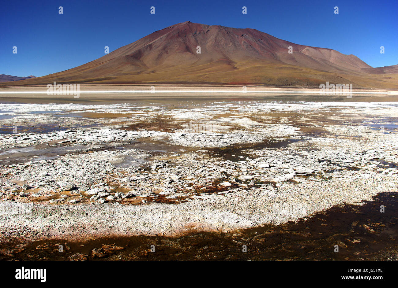 lagoon and volcano in bolivia Stock Photo - Alamy