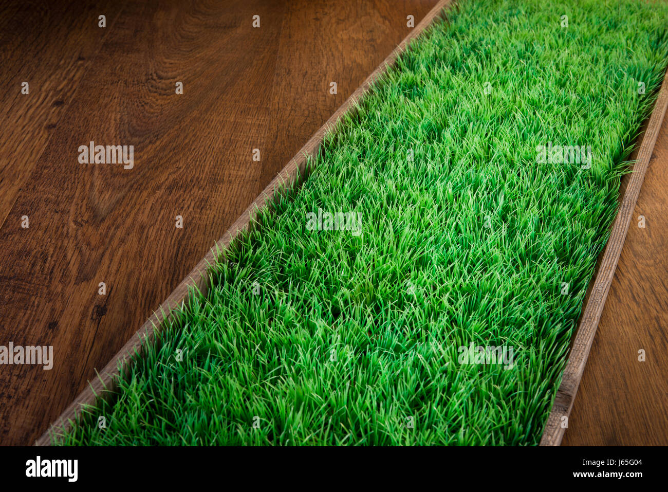 Grass on the floor hi-res stock photography and images - Alamy