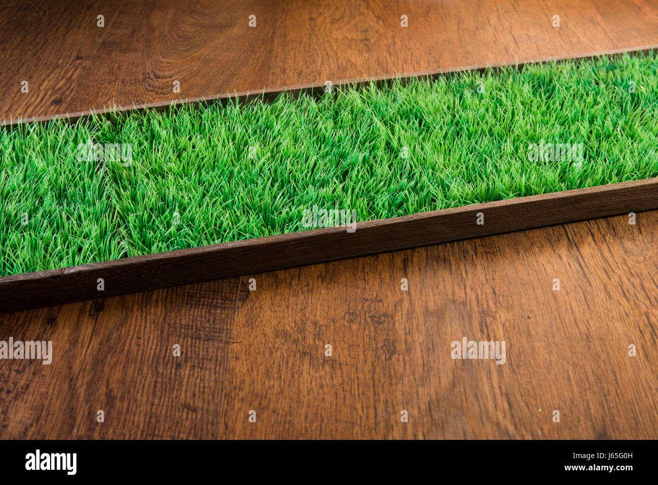 Grass on the floor hi-res stock photography and images - Alamy