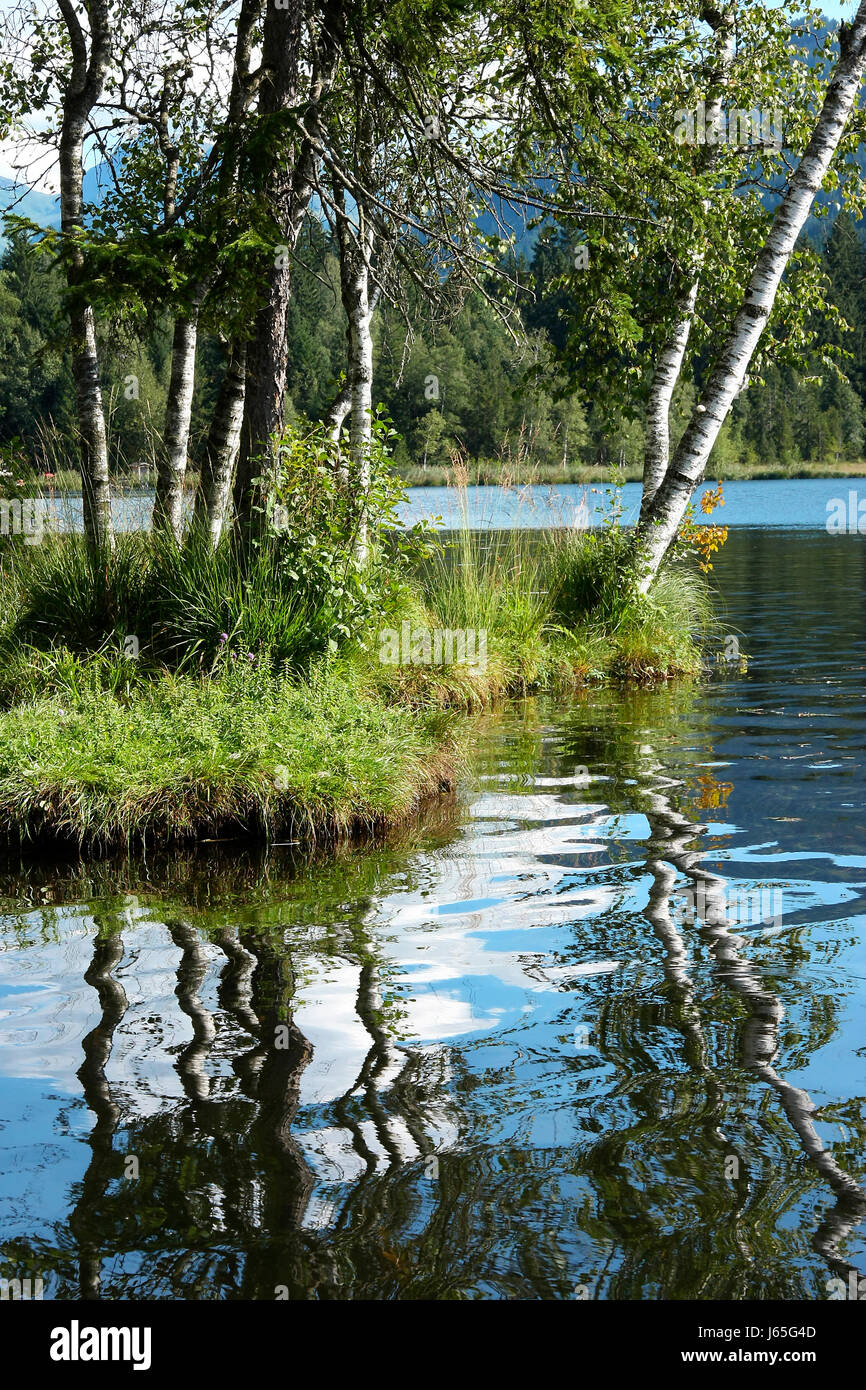 swamp summer summerly mirroring salt water sea ocean water scenery ...