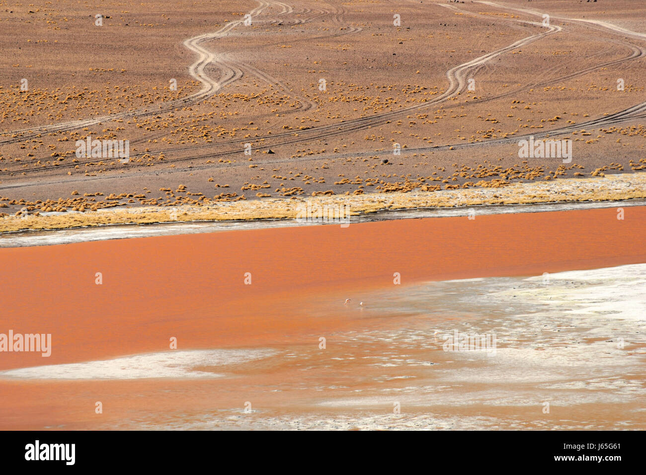 Inland south america hi-res stock photography and images - Alamy