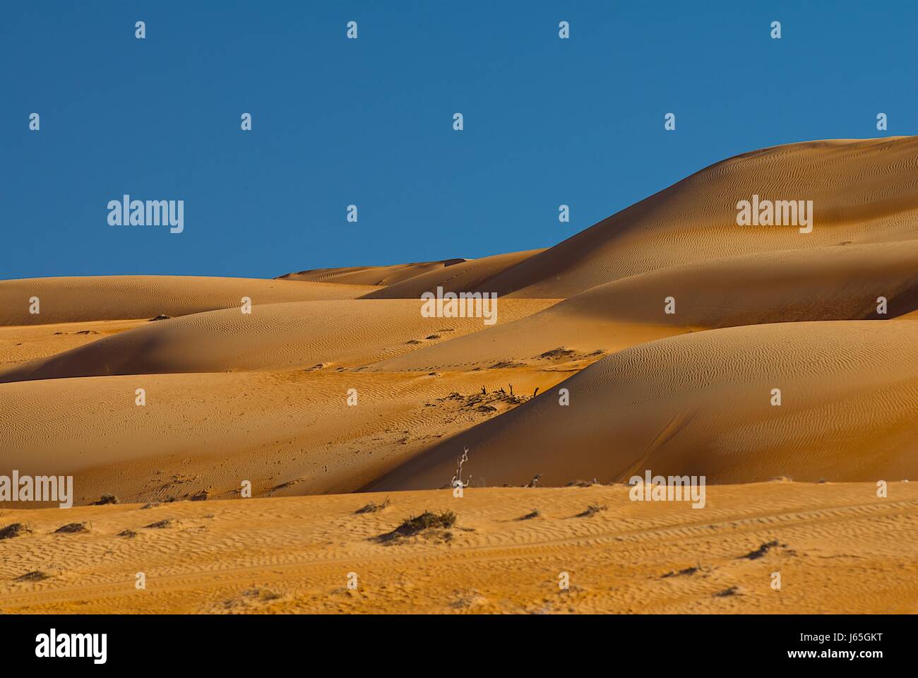 Wahabi hi-res stock photography and images - Alamy