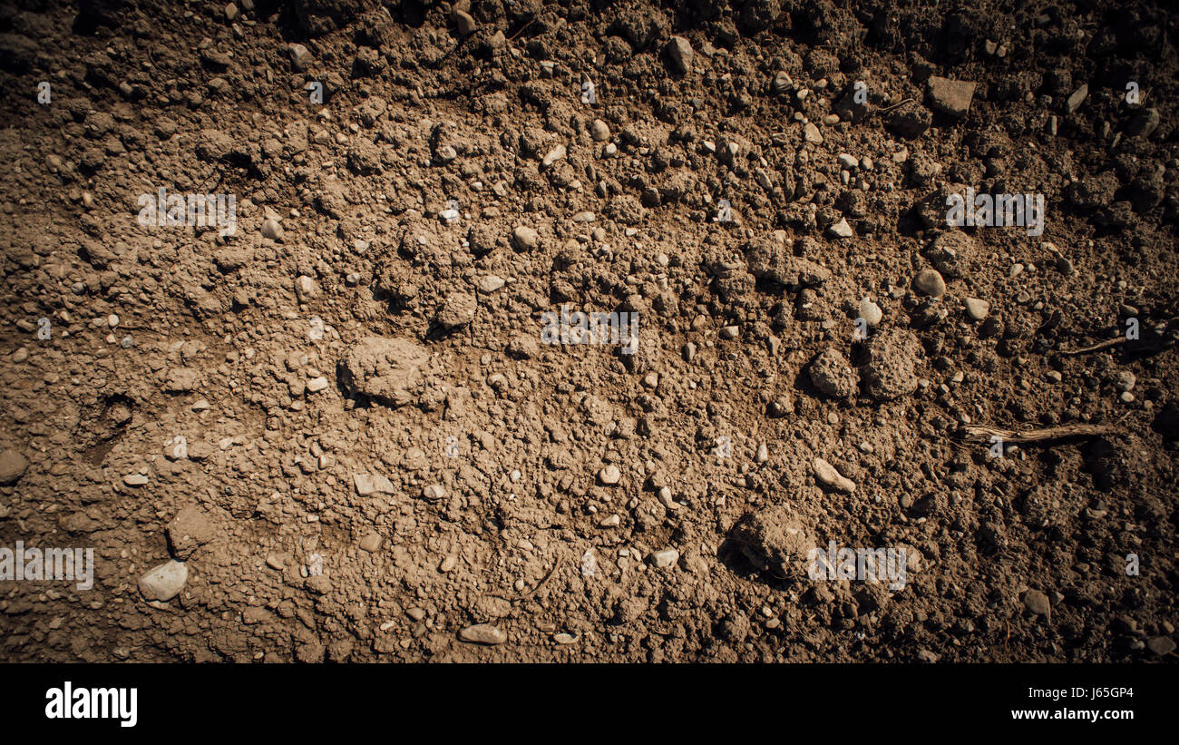 Humus soil hi-res stock photography and images - Alamy