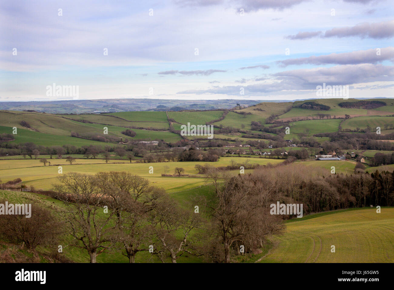 On the devon dorset border hi-res stock photography and images - Alamy