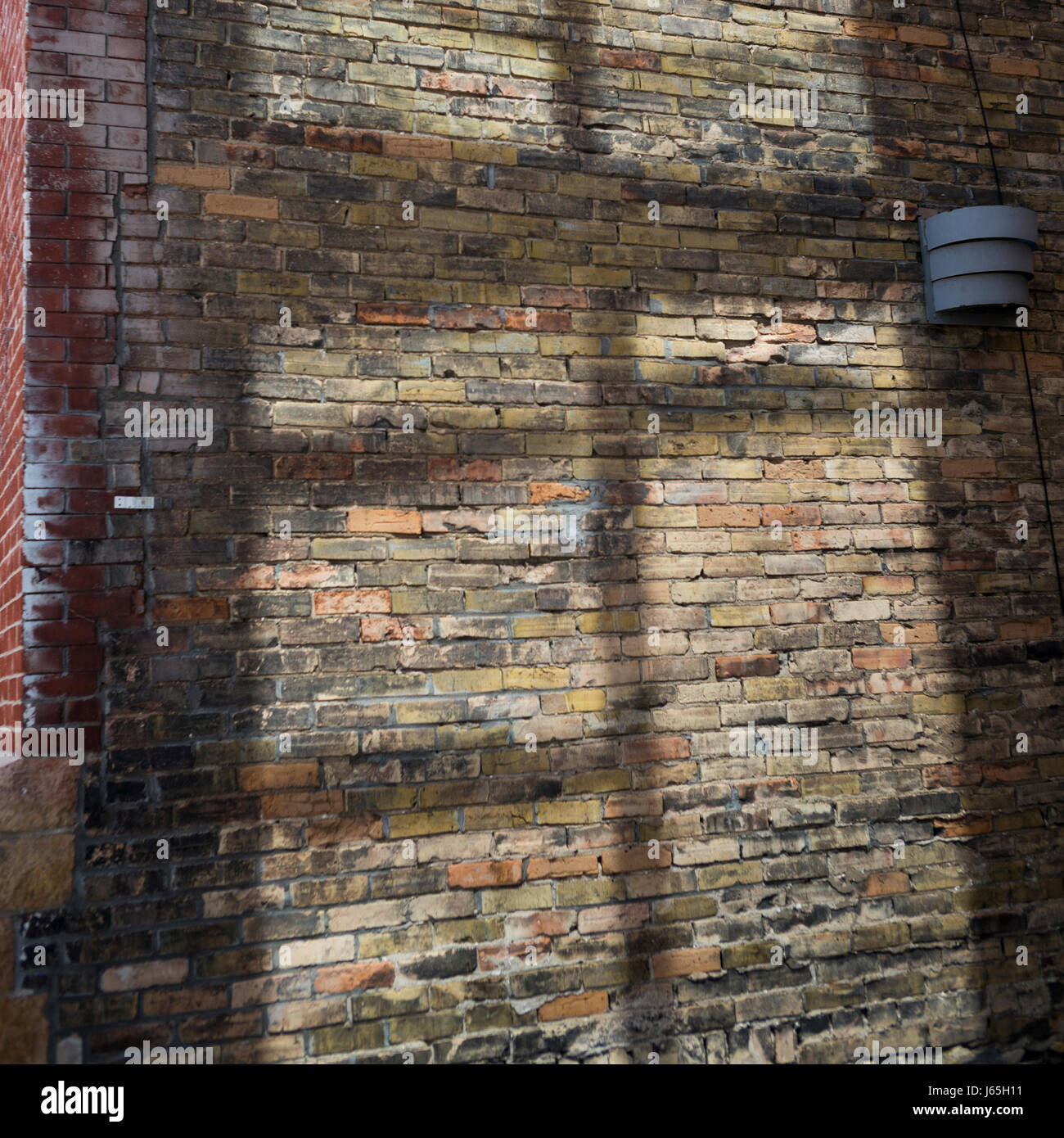 Close-up of brick wall, Minneapolis, Hennepin County, Minnesota, USA ...