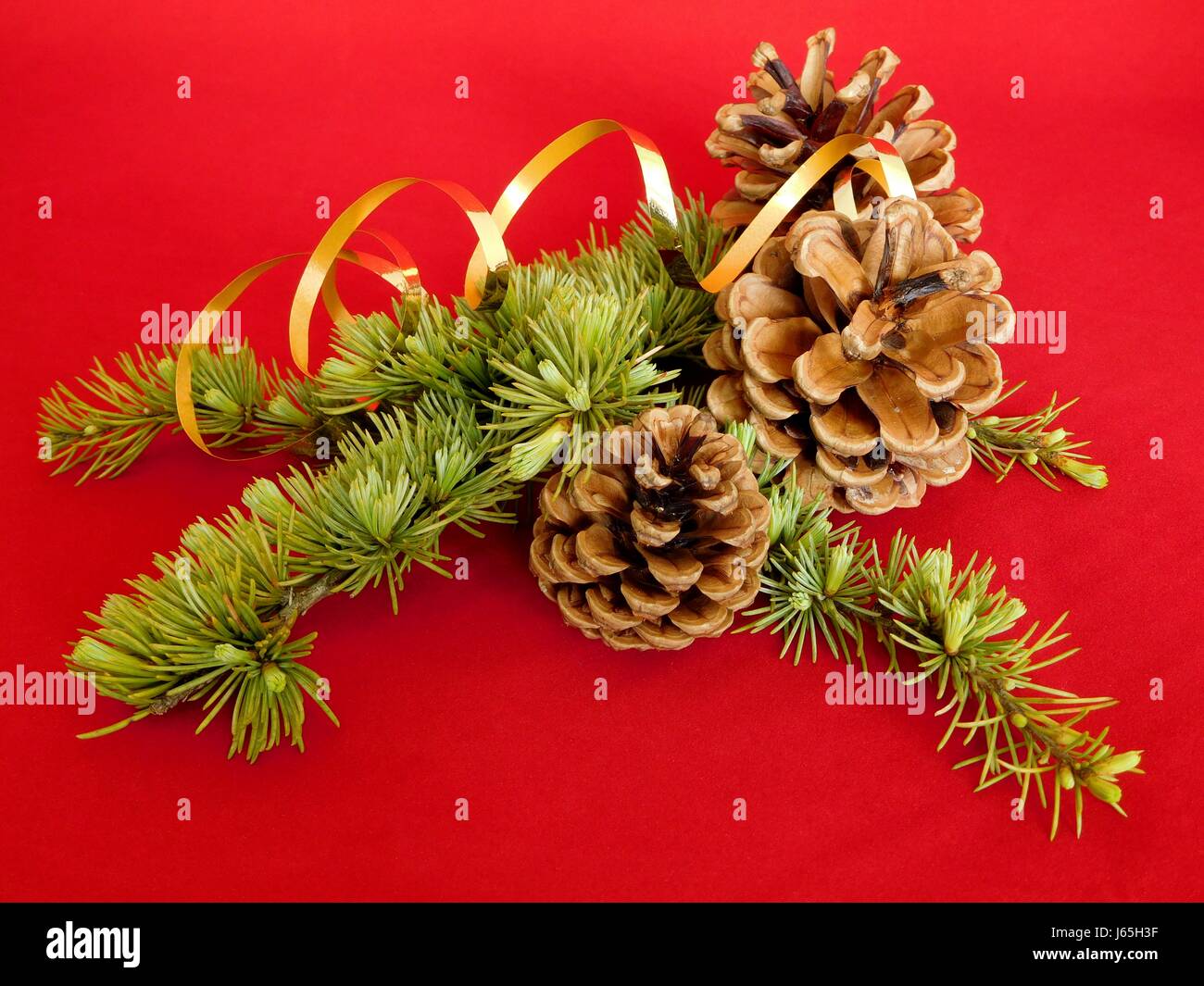 End of year christmas tree hi-res stock photography and images - Alamy