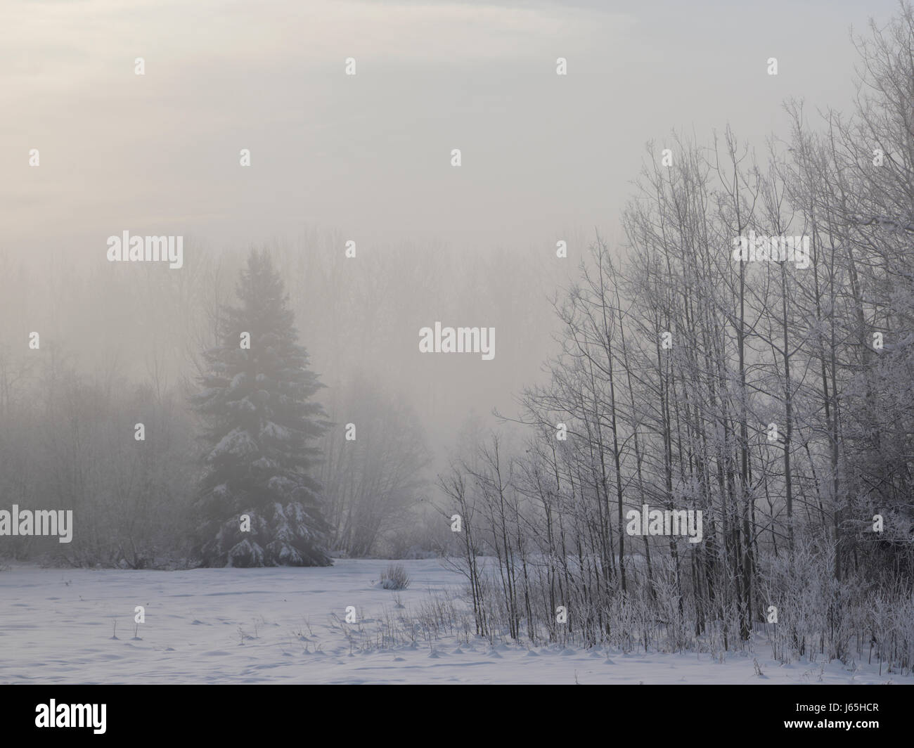 Prince george british columbia hi-res stock photography and images - Alamy