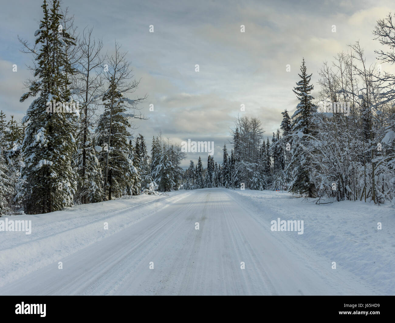 Snow covered road passing through forest, British Columbia Highway 97 ...