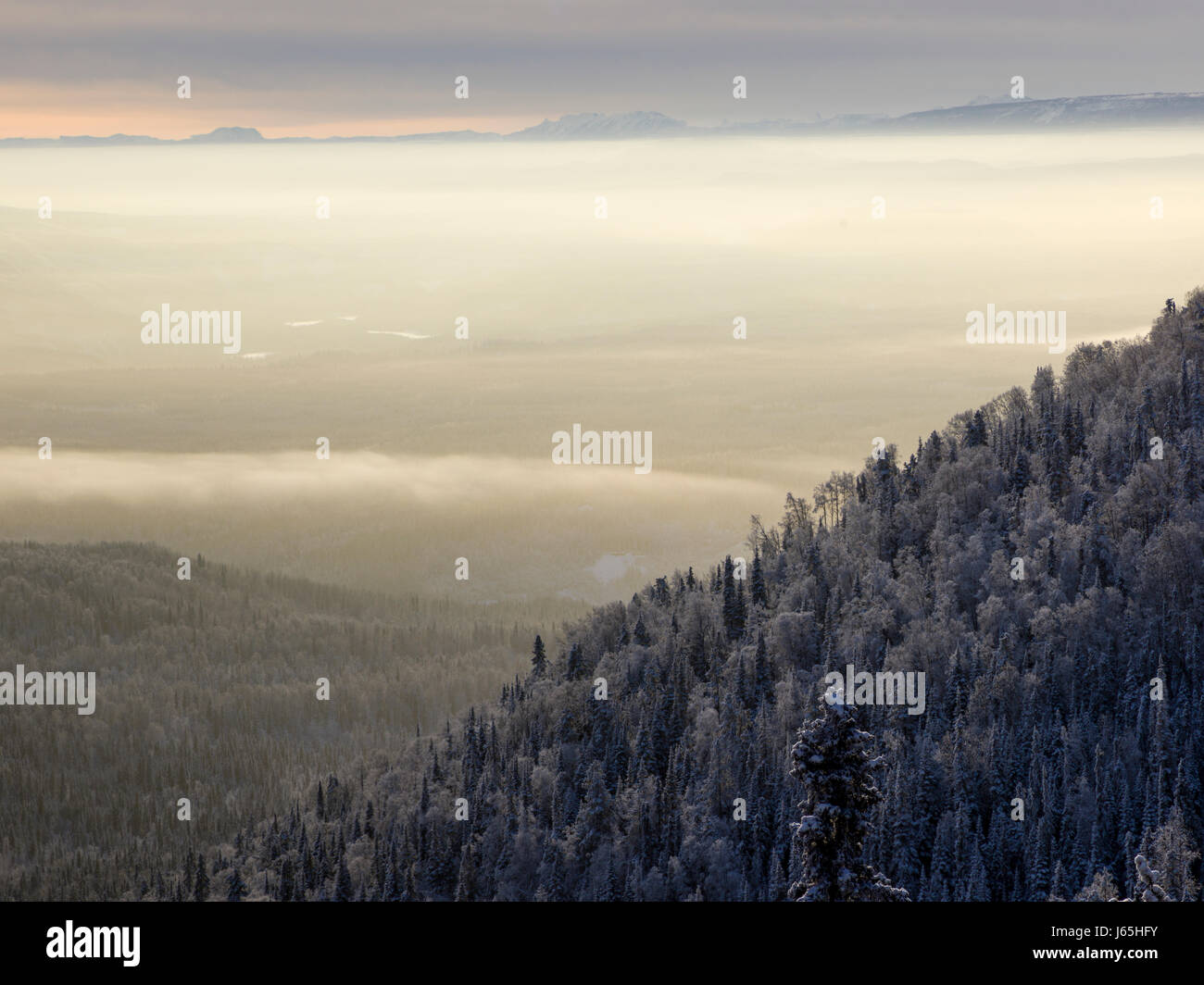 Elevated view of trees, Alaska Highway, Northern Rockies Regional ...