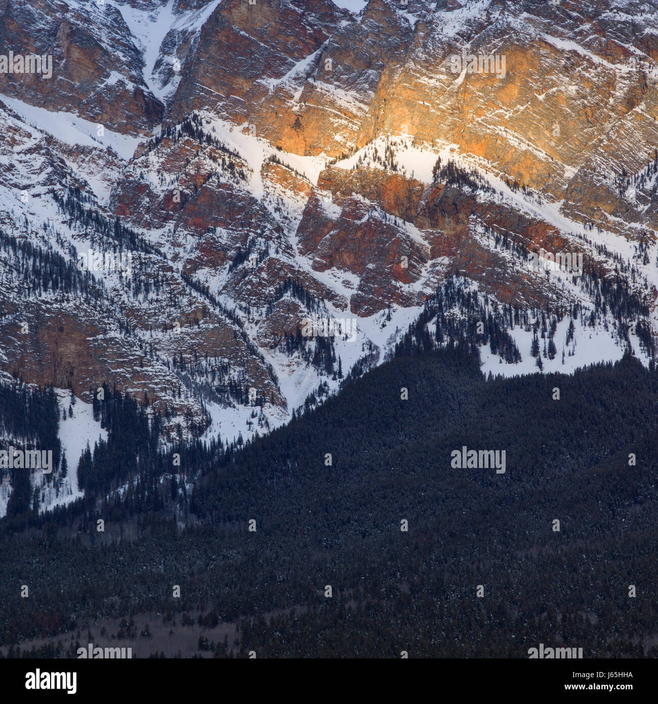 Aerial view of trees on mountain, Highway 16, Jasper, Jasper National ...