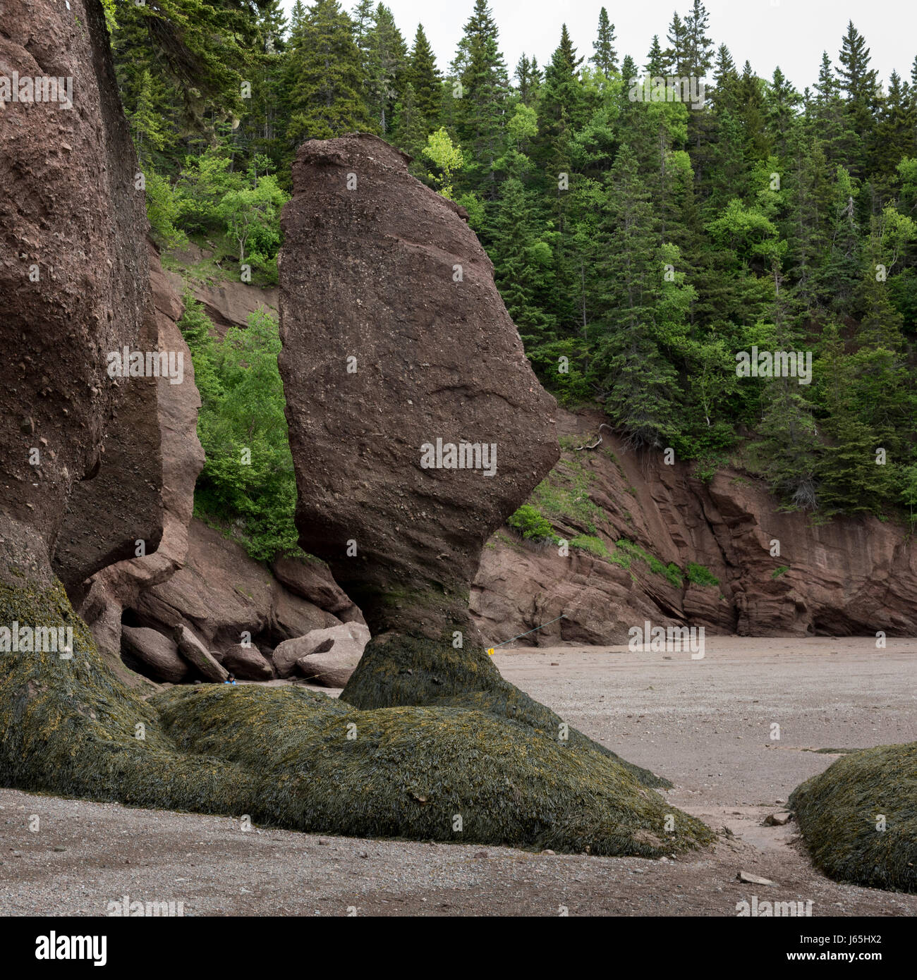 Rock formations at Hopewell Rocks, Bay of Fundy, New Brunswick, Canada ...