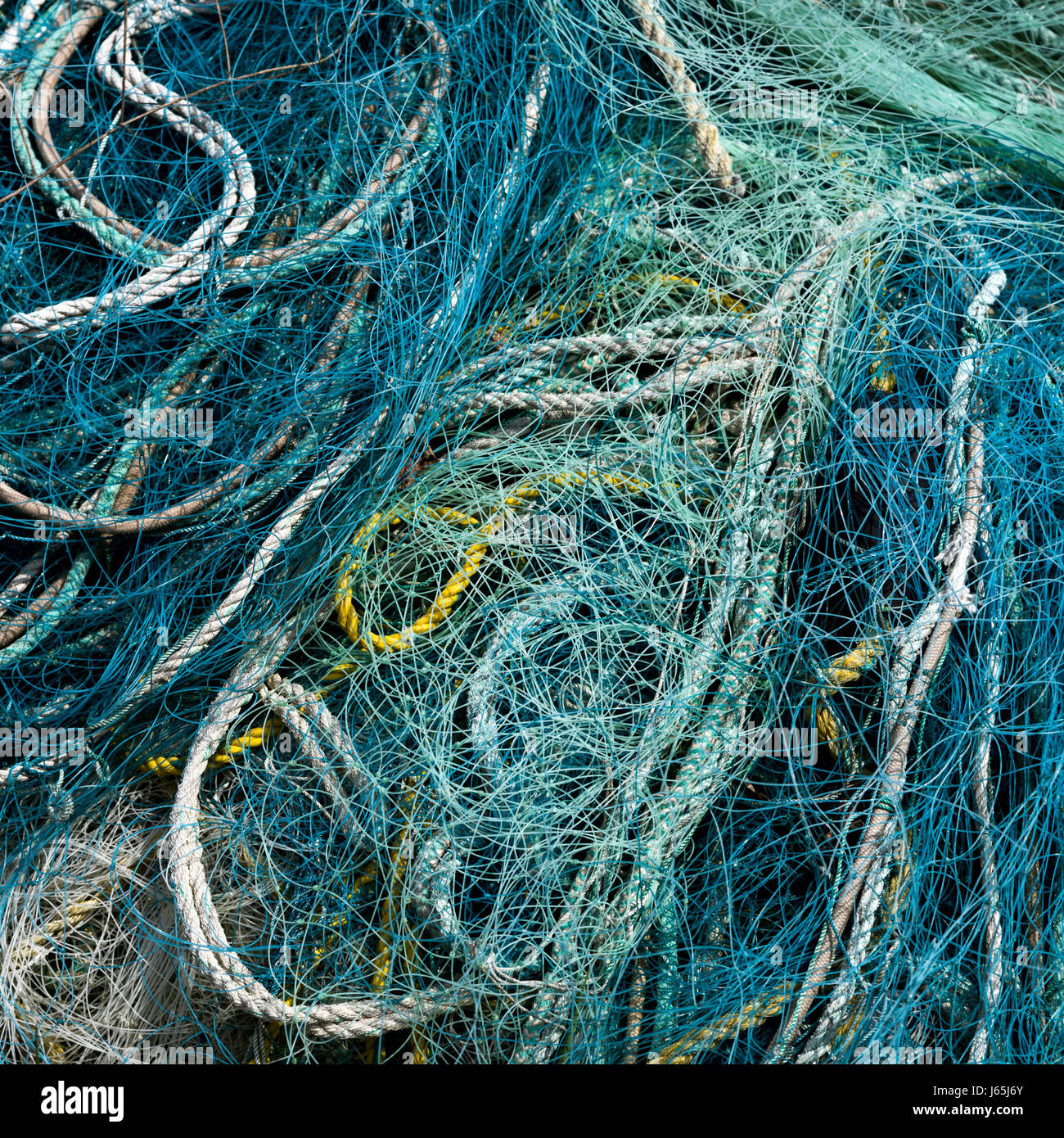 Fishing net in harbor, West Dover, Halifax, Nova Scotia, Canada Stock ...
