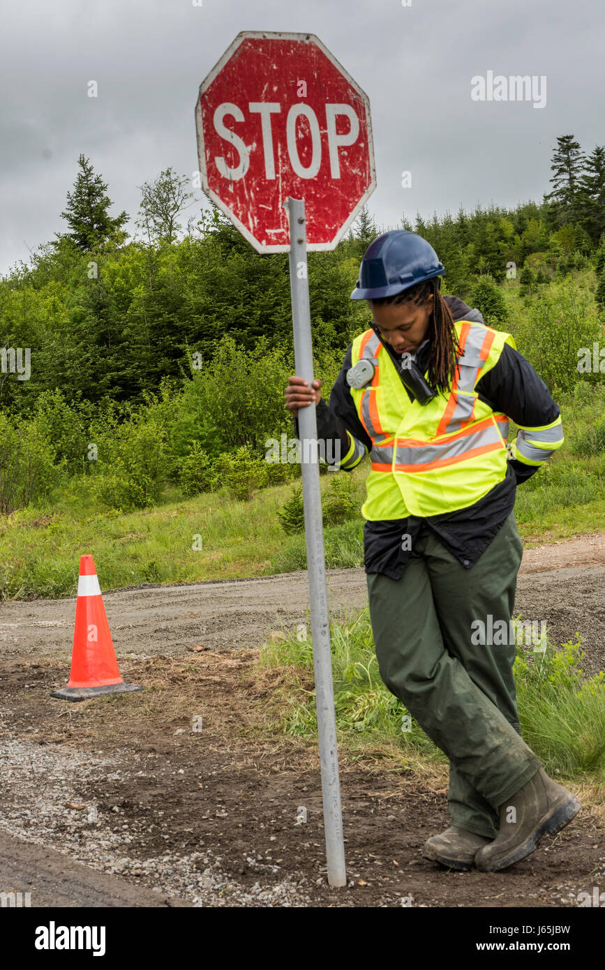 Female construction worker with stop sign at roadside, Guysborough ...