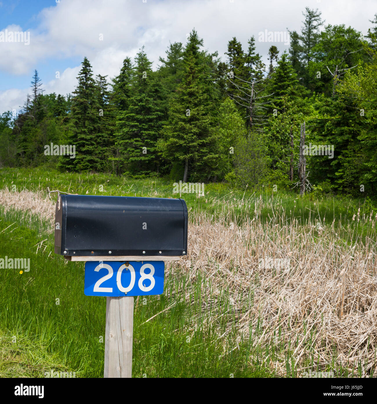 Mailbox in grassy field, Kensington, Prince Edward Island, Canada Stock ...