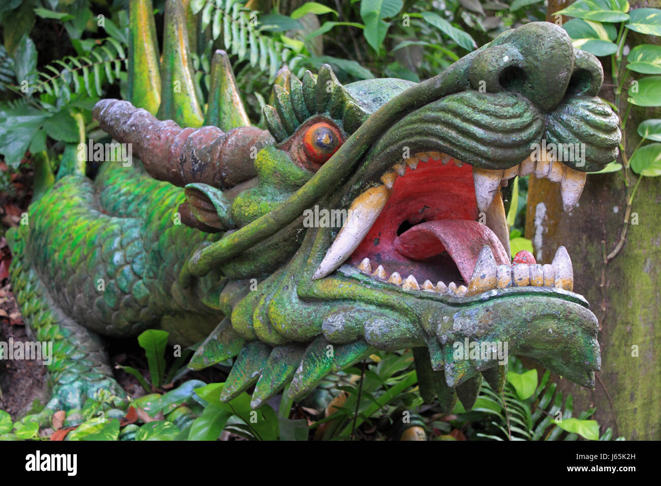 Palm horn hi-res stock photography and images - Alamy