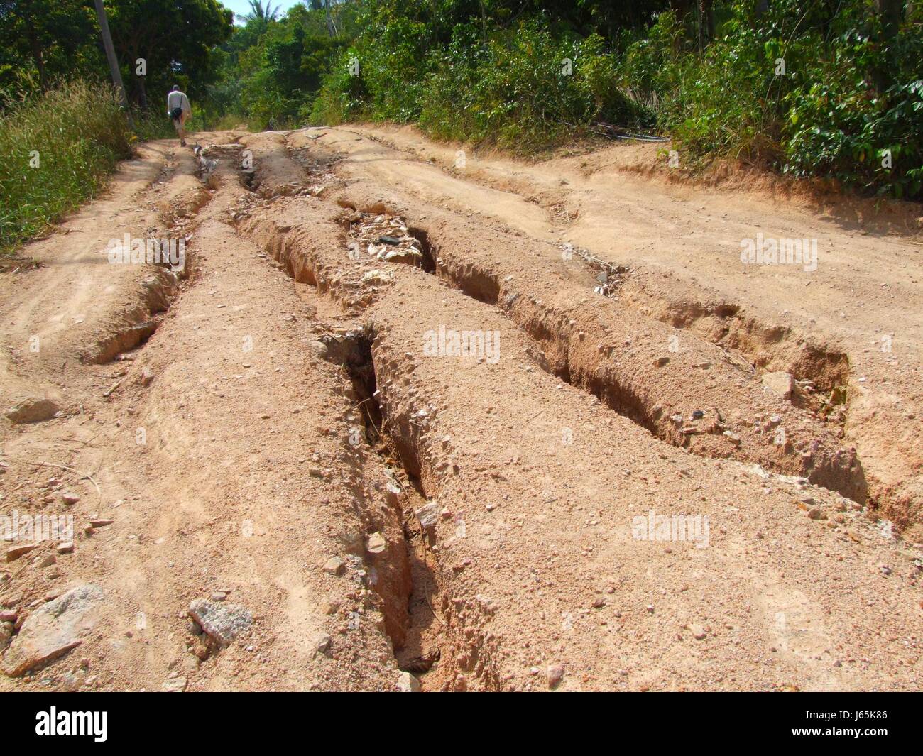 erosion environment enviroment ground soil earth humus asia thailand ...
