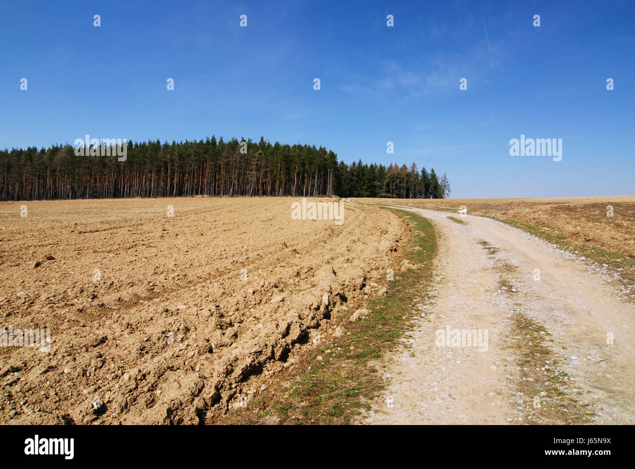 agriculture farming field road path way street forest environment ...