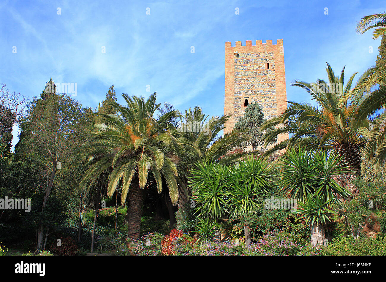 tower historical fortress palm tree hedge andalusia watchtower chateau ...