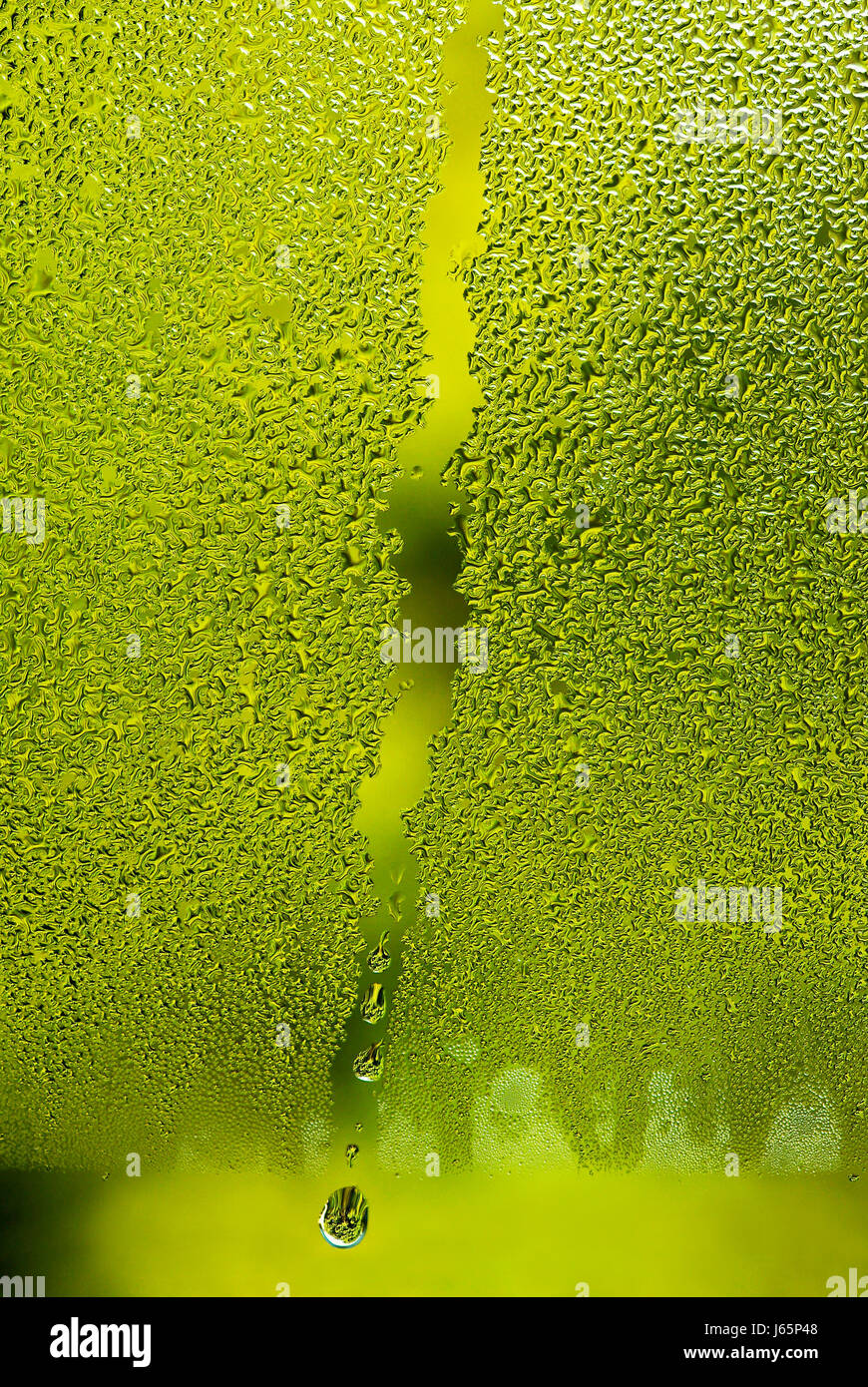 condensed water wet water drop waterdrop water drop drip drops seeping ...