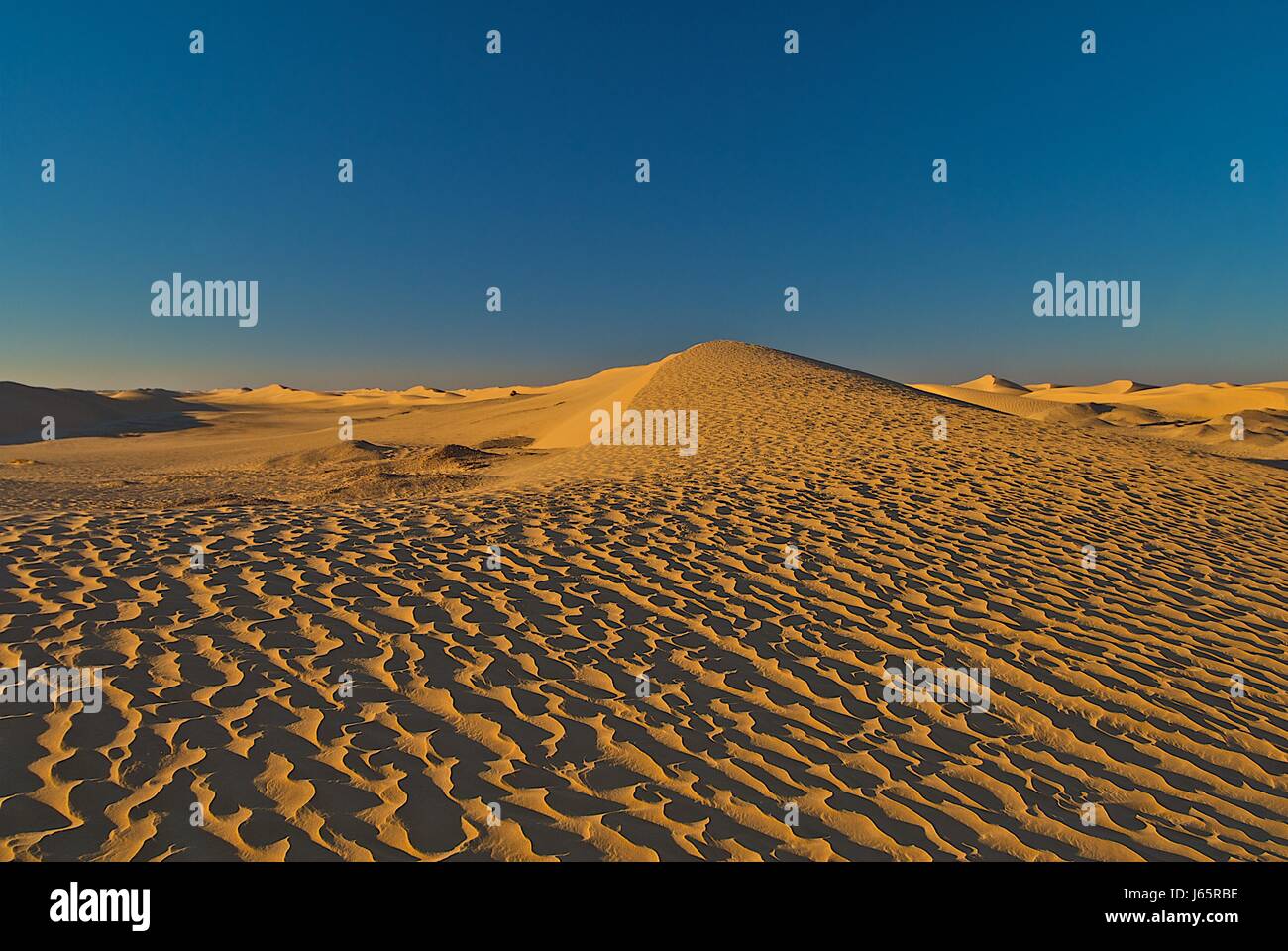 Wahabi hi-res stock photography and images - Alamy