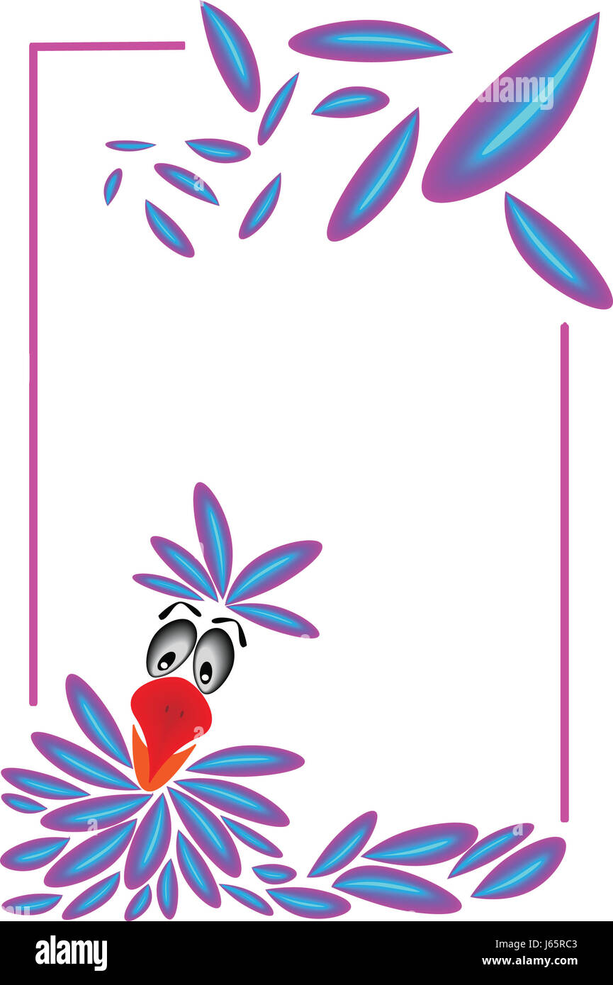 bird feathers anxious afraid around scared parrot blue bird purple ...