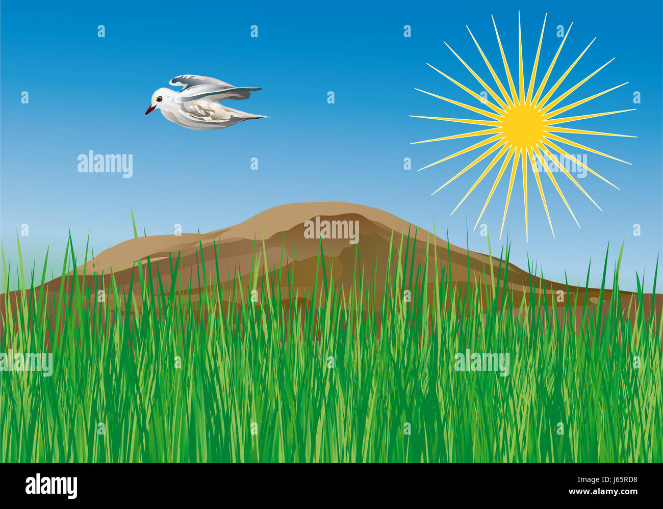 flight bird birds spring illustration meadow scenery countryside nature ...