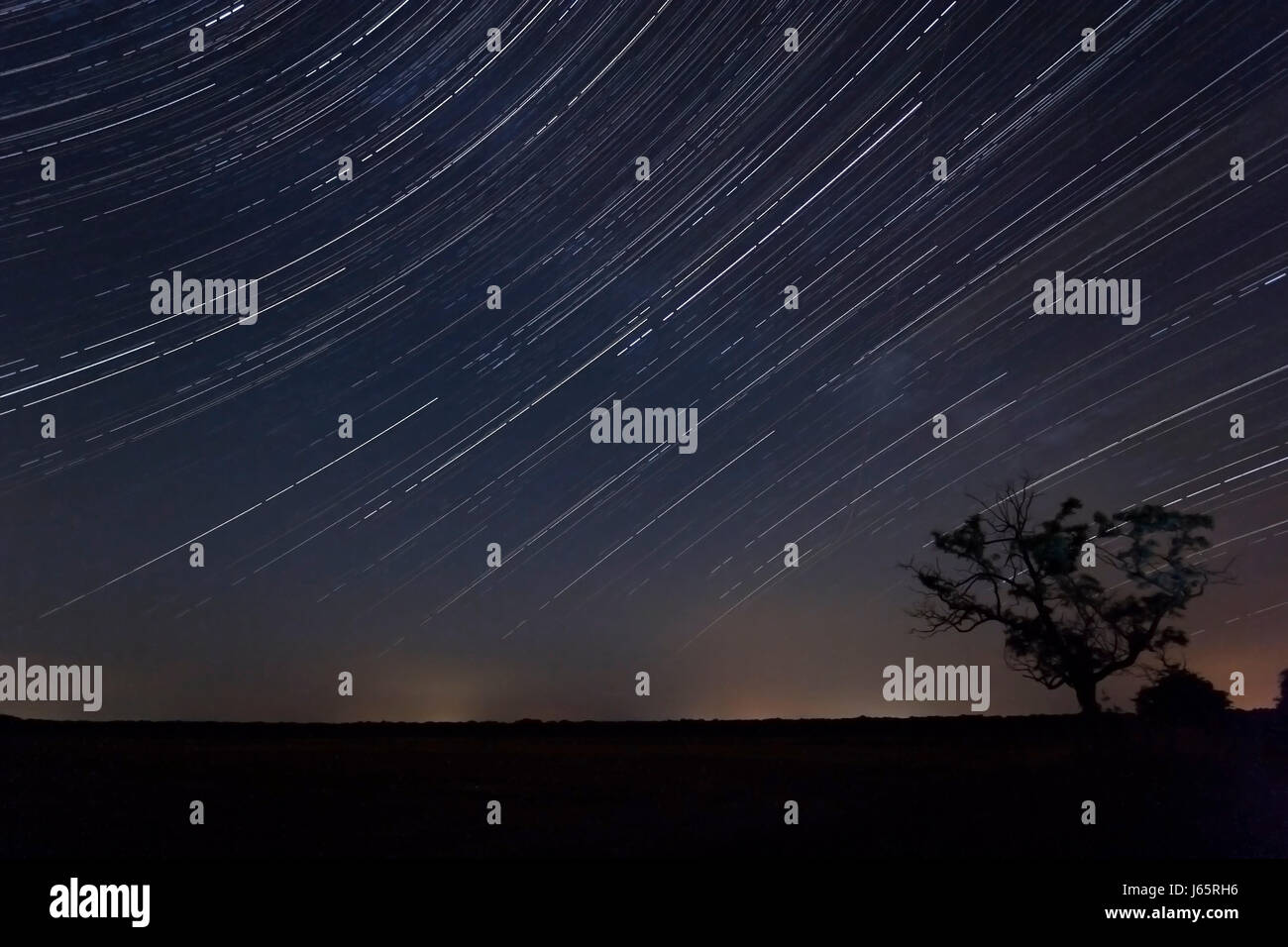 night nighttime landscape scenery countryside nature astronomic meadow ...