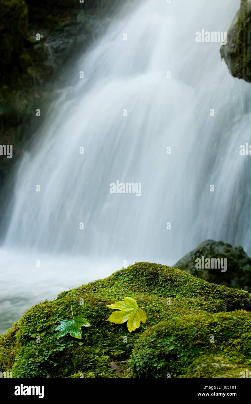 summer summerly rock waterfall cascade forest water nature beautiful ...