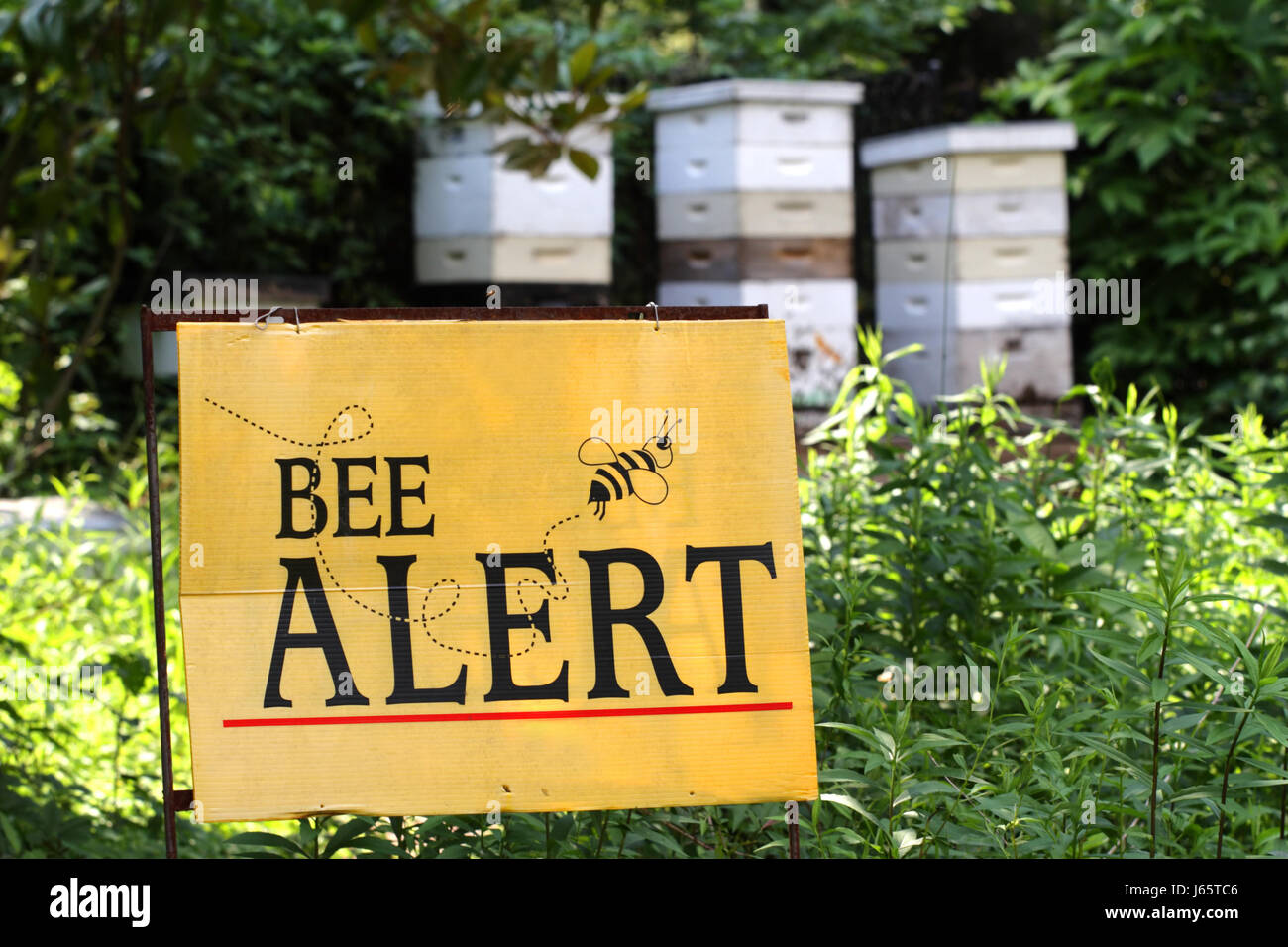 pollen honey insect bee garden pollen queen warning sign honey insect ...