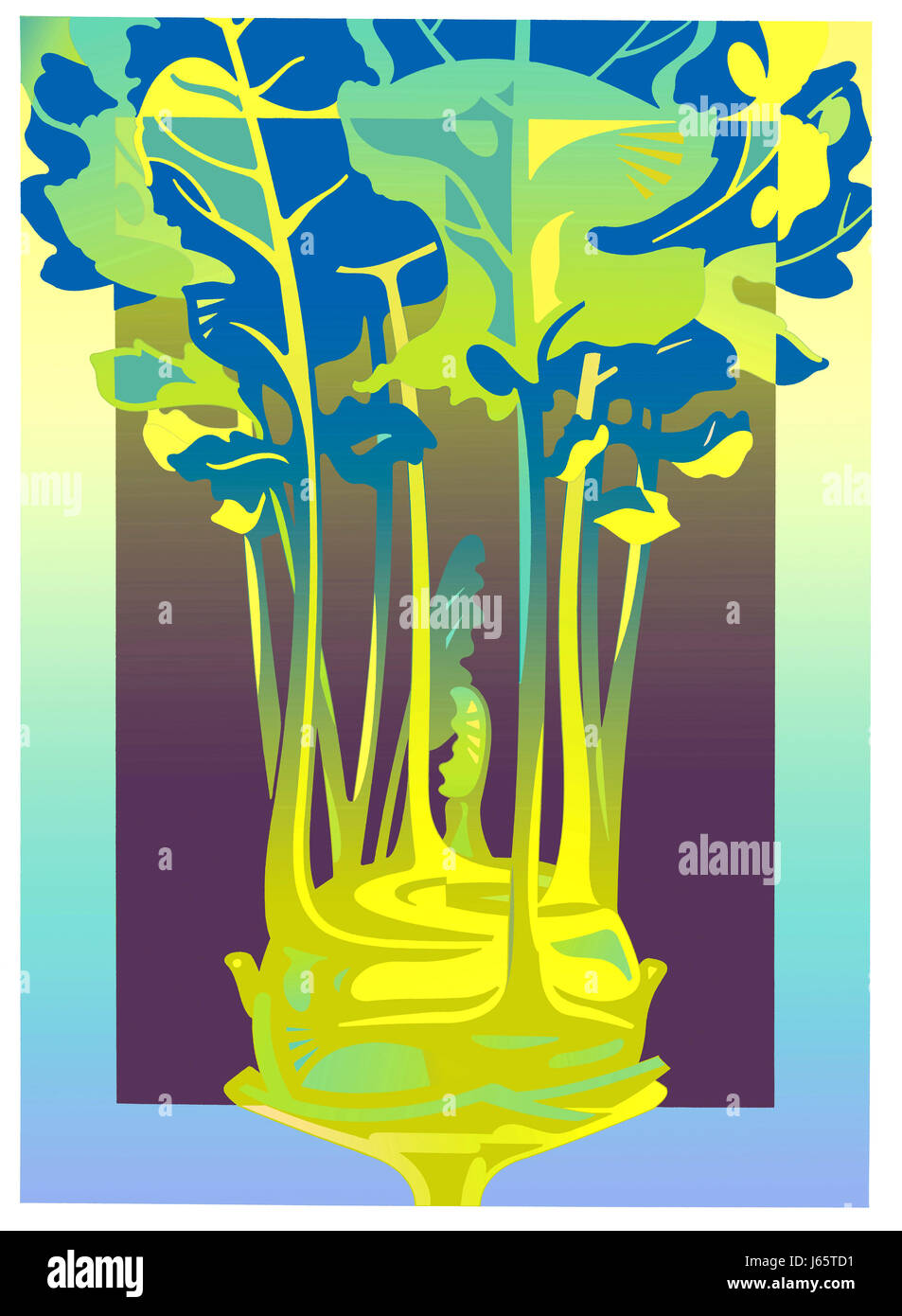 Kohlrabi drawing hi-res stock photography and images - Alamy