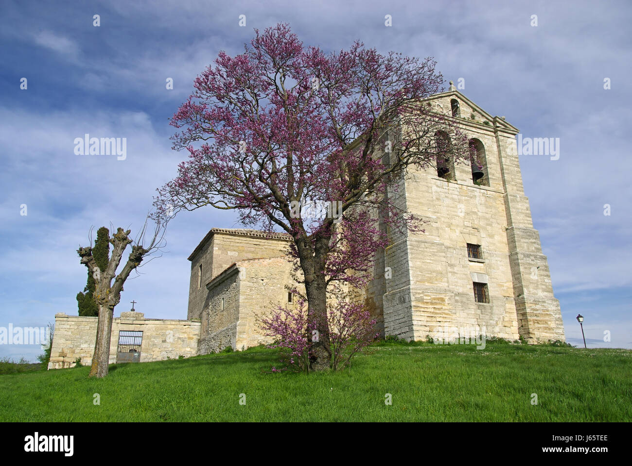 church spain tower historical church tree stone bloom blossom flourish ...